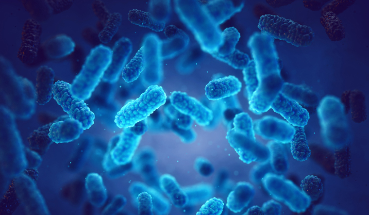 Deploying Artificial Intelligence against infectious pathogens- The Week