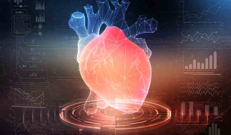 Scientists achieve breakthrough with 3D-printed lifelike heart models ...