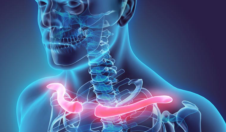 Ossification test: Your age is in your bones- The Week