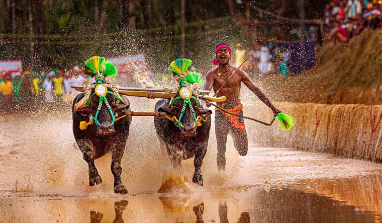 Sports Minister responds after India's 'Usain Bolt' Srinivas Gowda ...