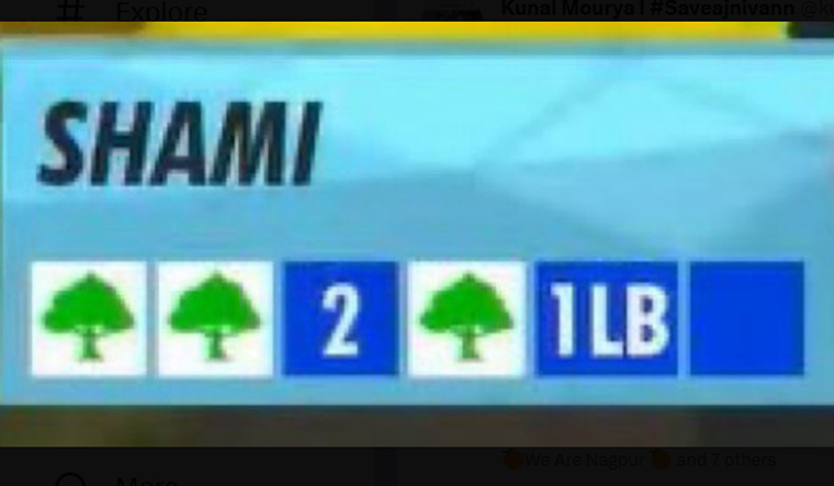 Why do you see tree icon on TV screens every time a dot ball is bowled ...