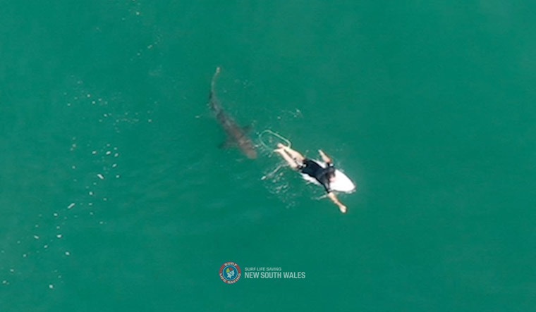 Surfer missing after another suspected shark attack in Western ...
