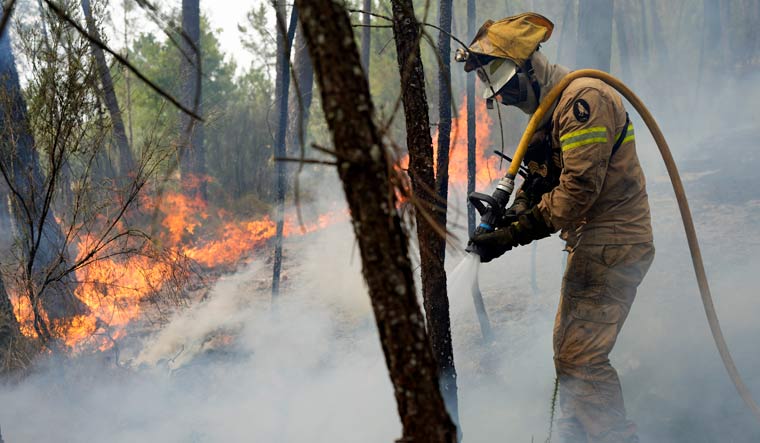 Extreme wildfires are turning the world's largest forest ecosystem from ...