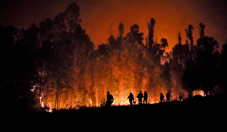Chile wildfires spread amid heat wave as death toll rises- The Week