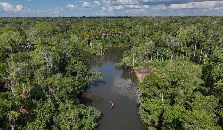 Endangered Amazonian river now 'a living entity and subject to rights ...