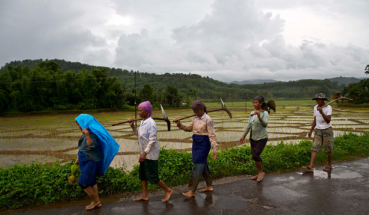 Budget 2019: How will PM Kisan Yojana benefit farmers?- The Week