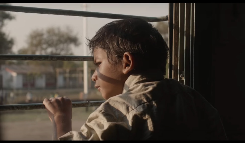 An emotional journey that tugs at your heartstrings