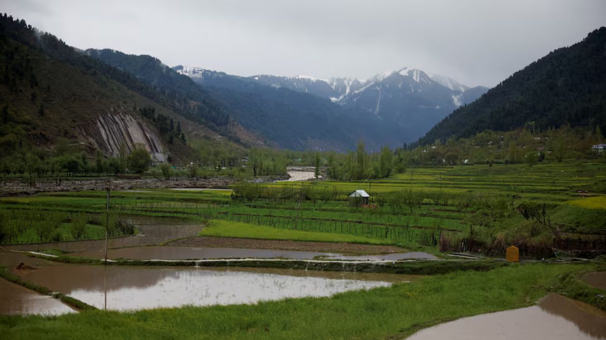 Plant fossils, Karewas and climate change: A story of another Kashmir ...