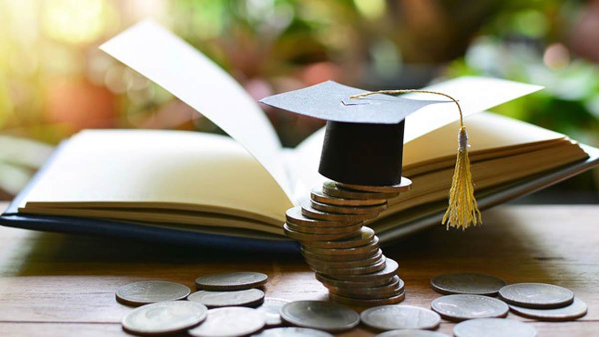 Union Budget 2025: Education sector gets major boost- The Week