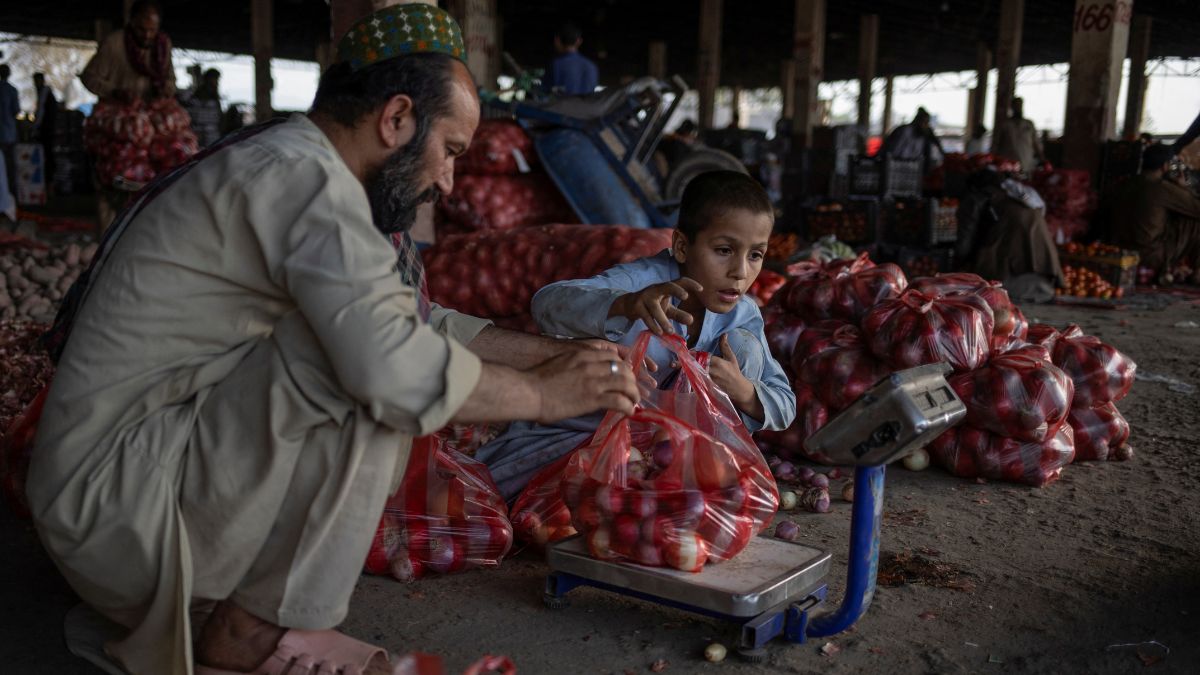 IMF approves $1.2bn fund for Pakistan despite slamming dismal financial ...