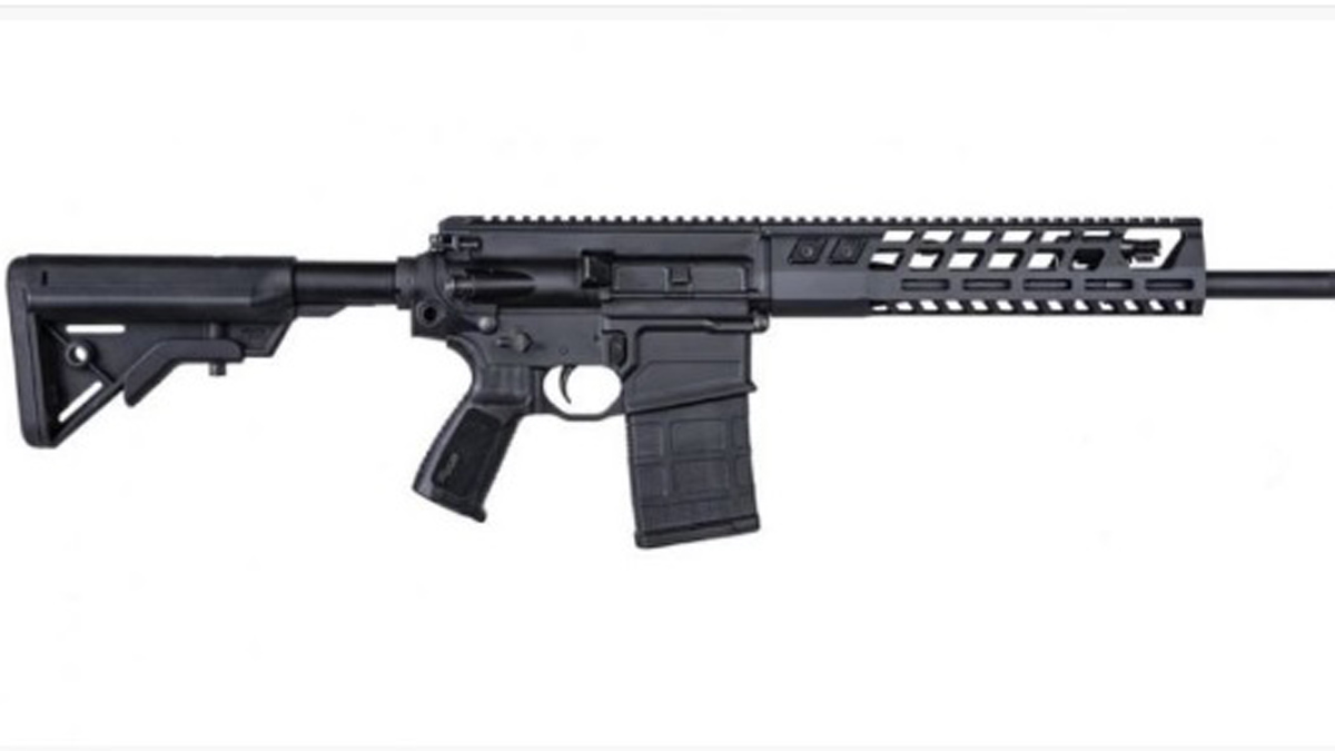 Defence ministry reorders 73,000 SIG Sauer assault rifles as part of ...