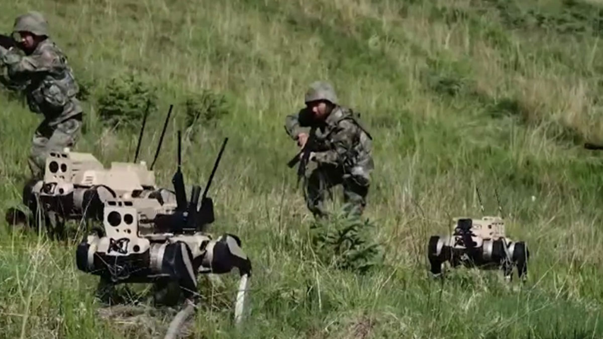 Chinese robot wolves armed with assault rifles the new threat? These ...