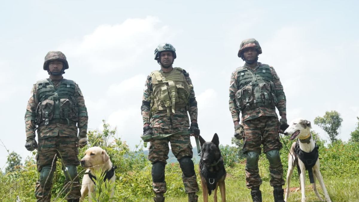 Victor the Rampur Hound stars at PRAGATI 2026: Indian Army’s native K9 ...