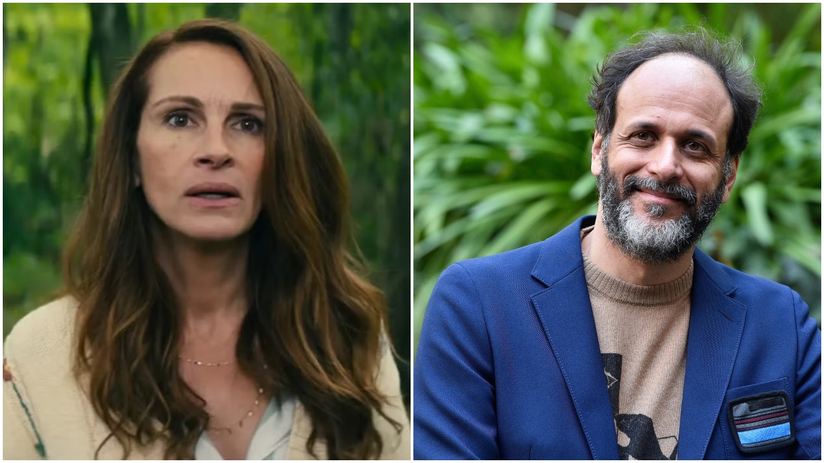 'After the Hunt': Julia Roberts' next with 'Challengers' director Luca ...