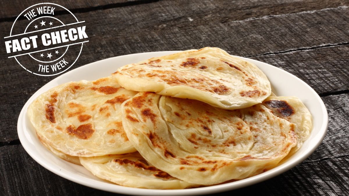 Fact check: Does maida stick to your gut? Experts reveal what happens ...