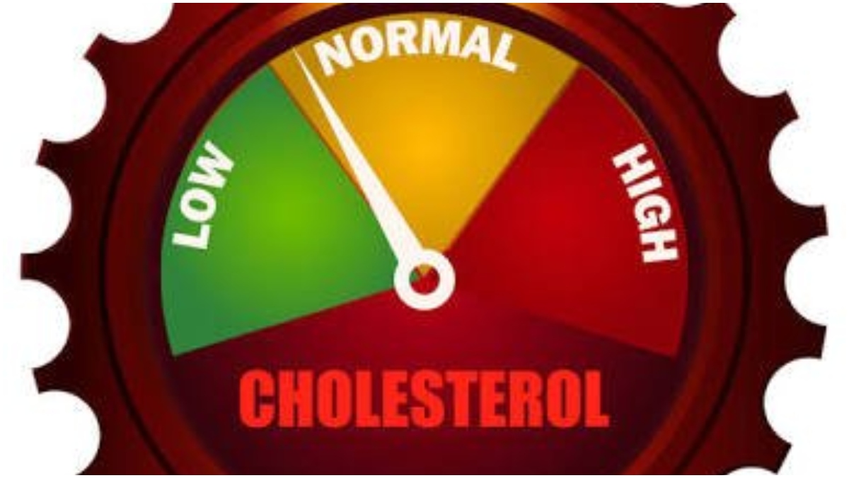 Scientists decode how exactly good cholesterol is made- The Week
