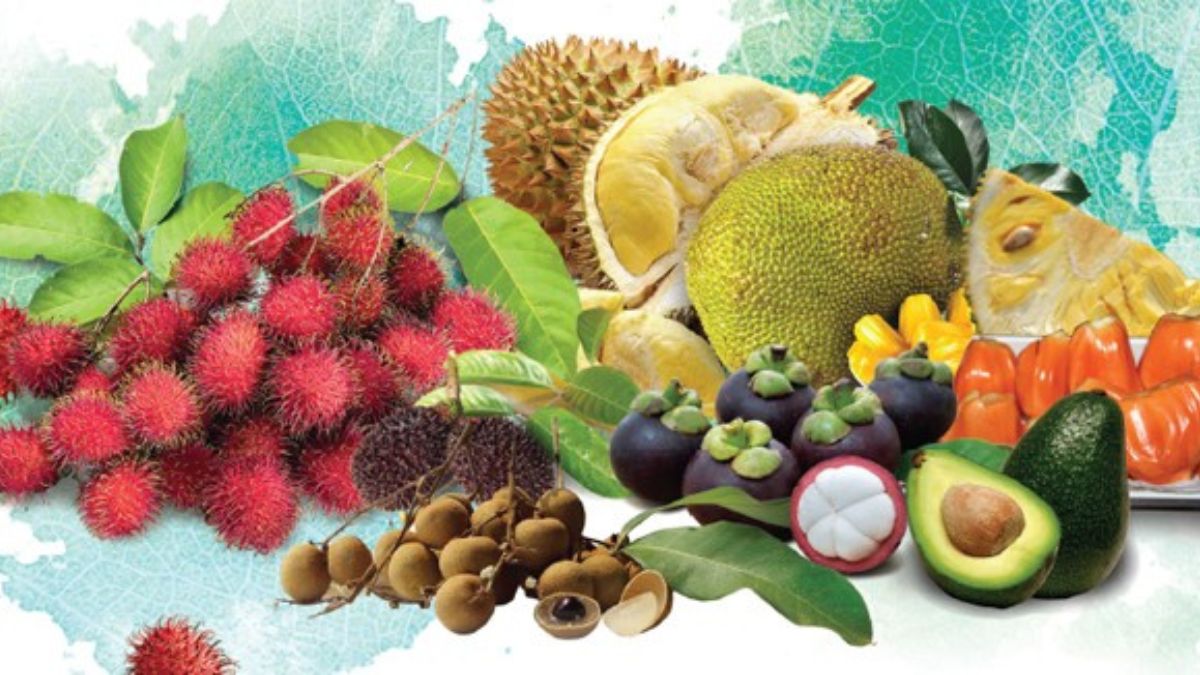 Are some fruits better than others? Here's what you need to know- The Week
