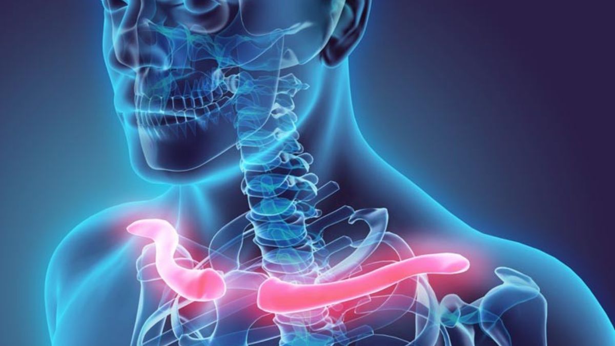 Beyond calcium: How THIS scan is helping doctors tailor bone treatment ...