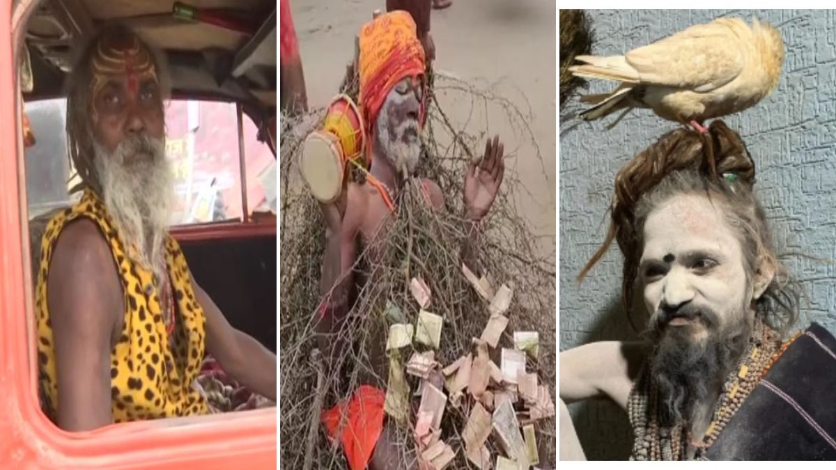 Viral babas of Mahakumbh 2025: Muscular baba, Ambassador baba, chai ...