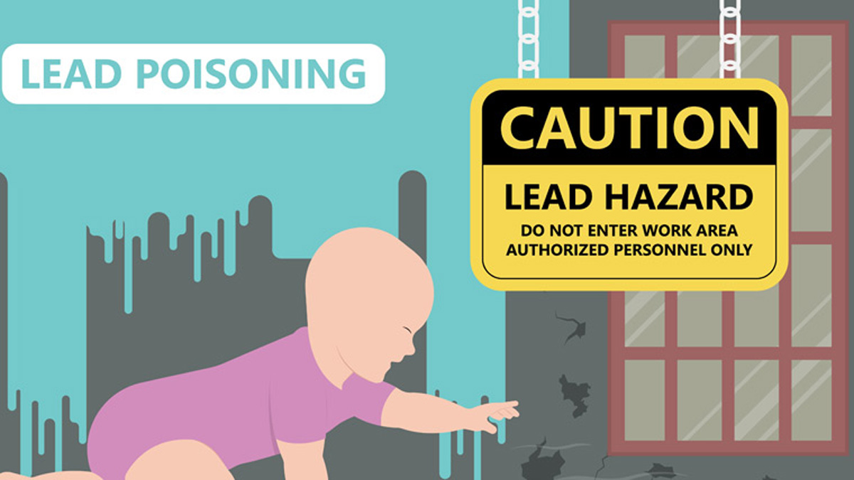 Existing legal framework does not comprehensively address lead ...