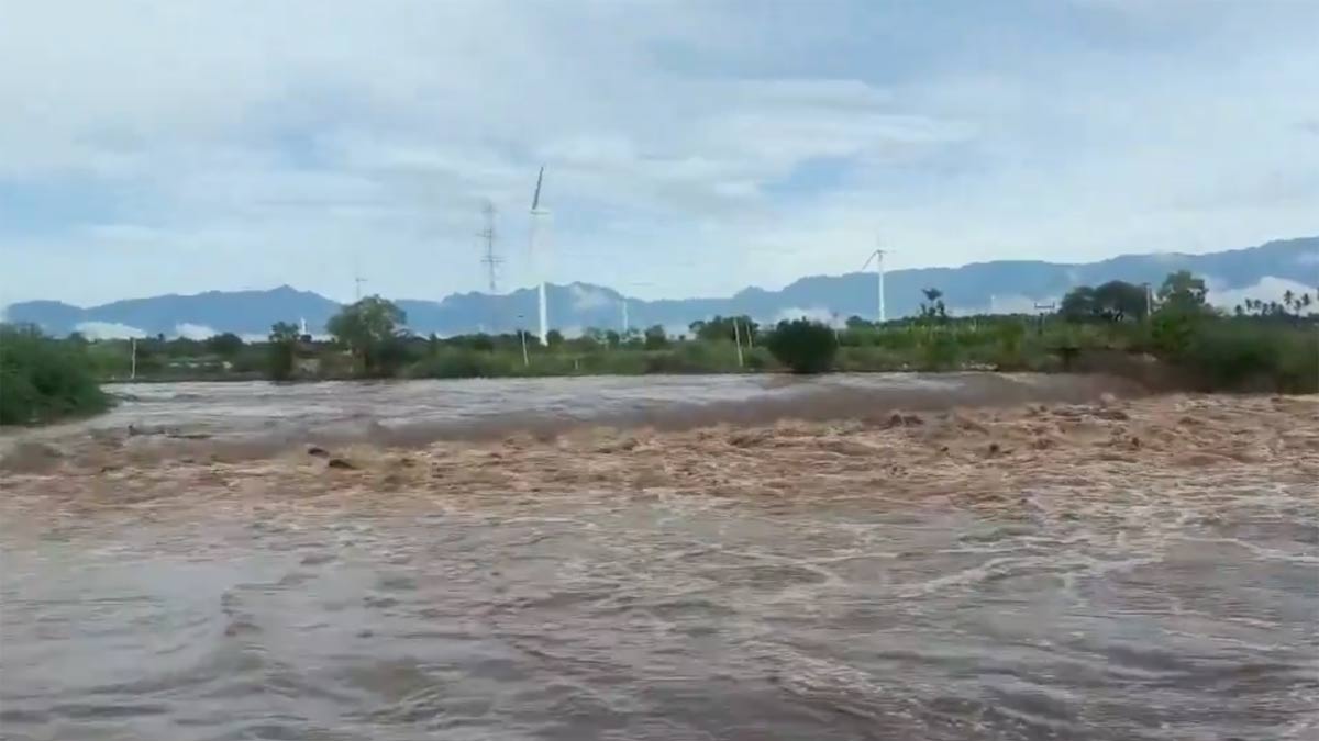 Tamil Nadu rains: Several villages in Theni inundated; 200 acres of ...
