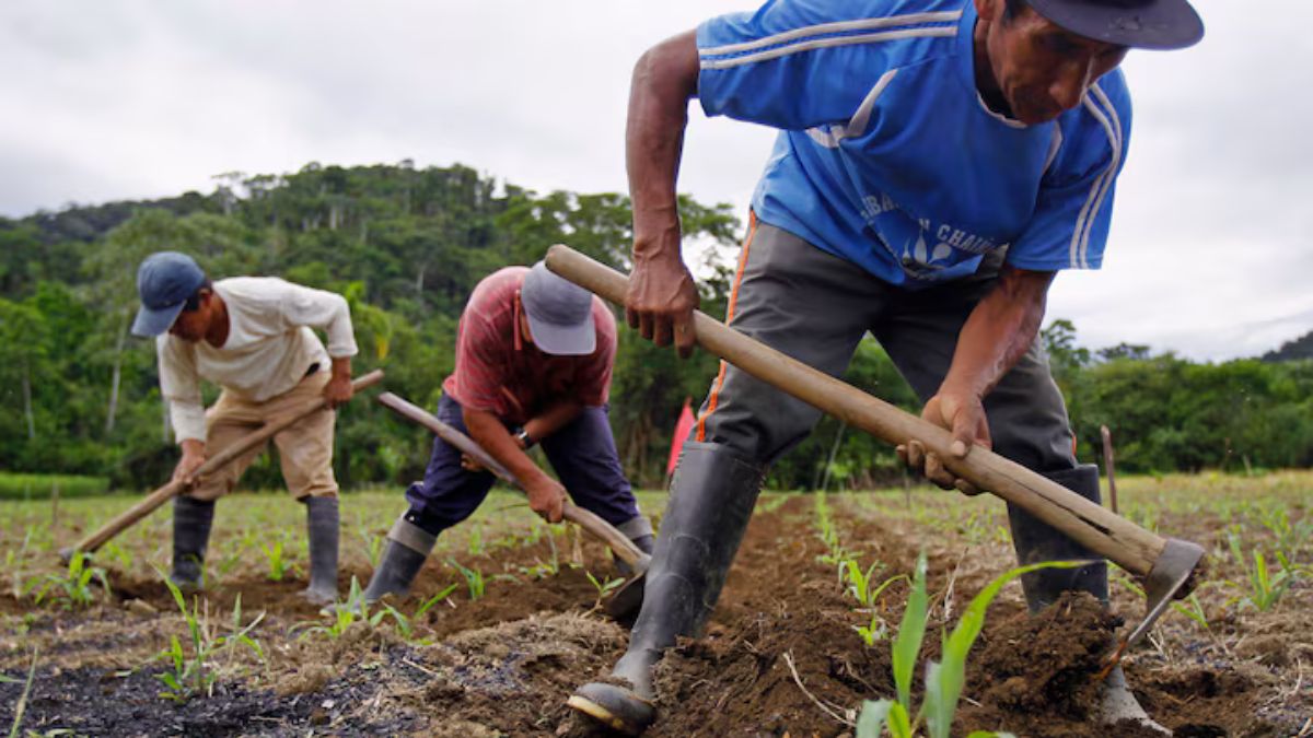 India's food security at risk: How science-backed regenerative farming ...