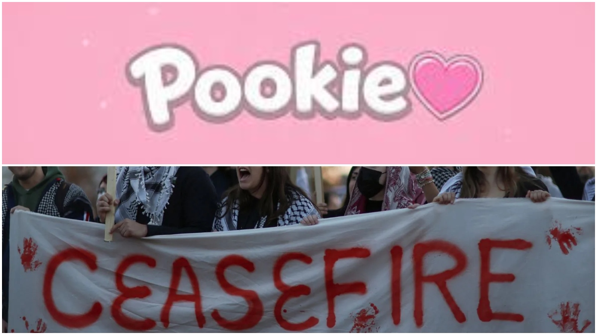 Looking for meaning: 'Ceasefire' to 'Pookie', 10 words that sent ...