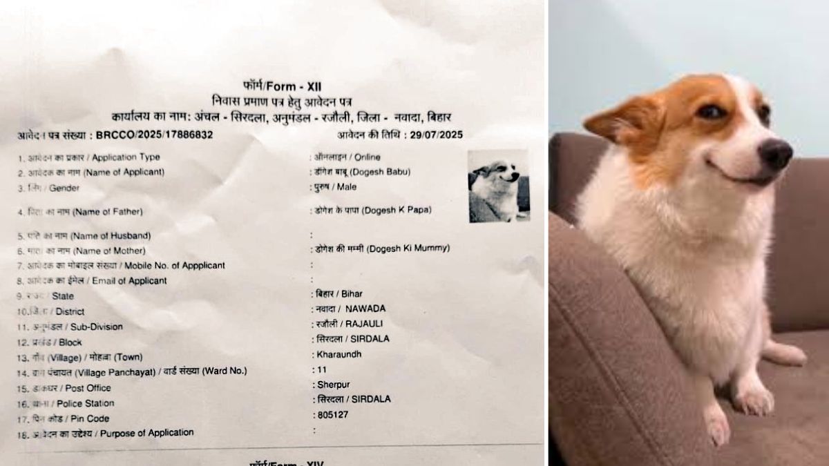 After 'Dog Babu', 'Dogesh Babu' attempts to apply for residence ...