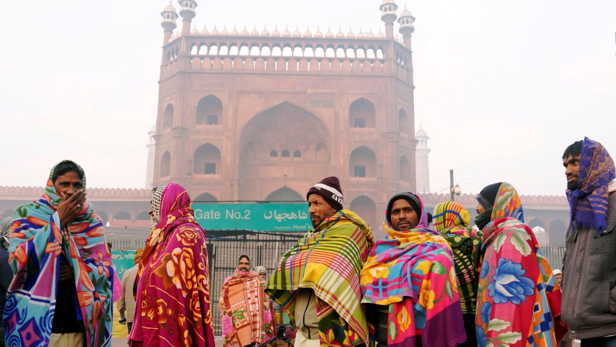 IMD has some good news for Northwest India amid the cold wave. Details ...