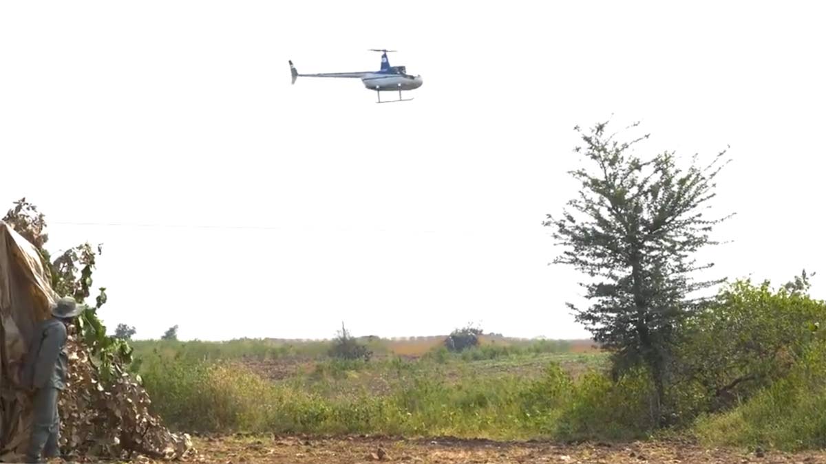 What's Boma, the MP govt's innovative campaign to capture and relocate ...