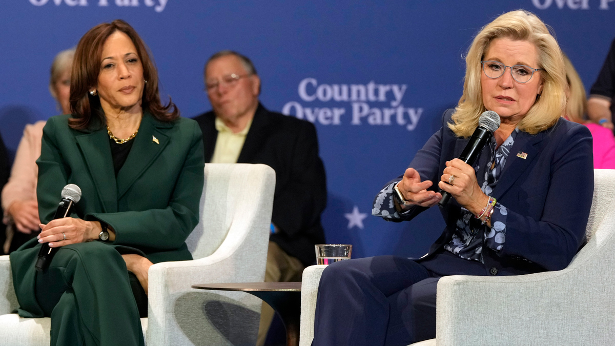 'Pro-life' ex-Republican congresswoman Liz Cheney joins Harris ...