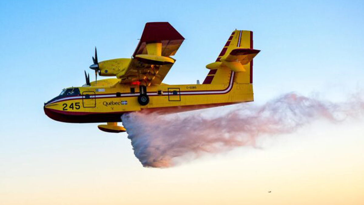 What are Super Scoopers, the firefighting aircraft used to tackle Los ...