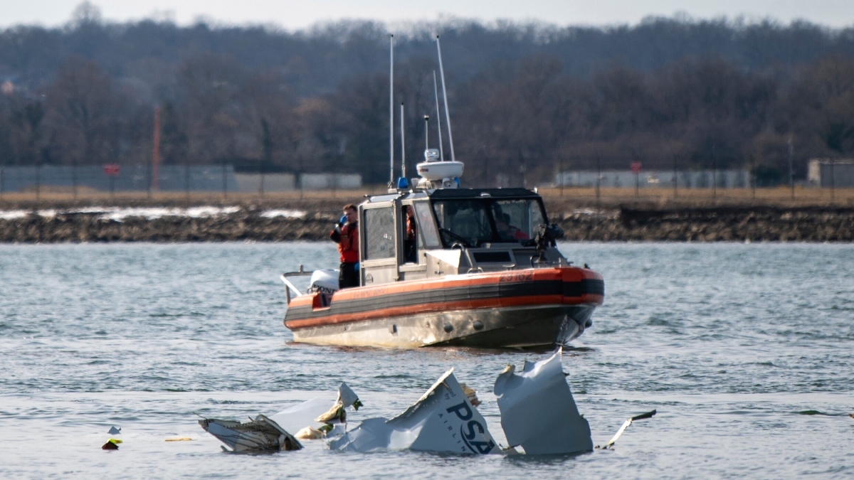 Washington DC plane crash: Aviation expert says 'blind spot' may have ...
