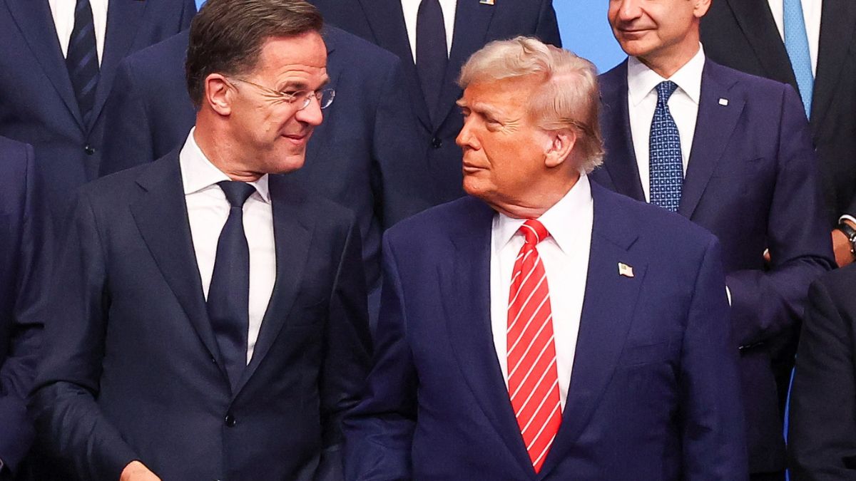 NATO chief Mark Rutte calling Donald Trump 'Daddy' embarrassed EU ...
