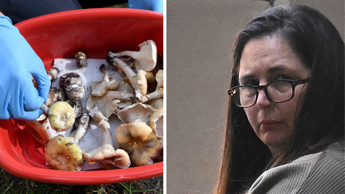 Erin Patterson verdict: death cap mushroom trial finds 50 year old ...