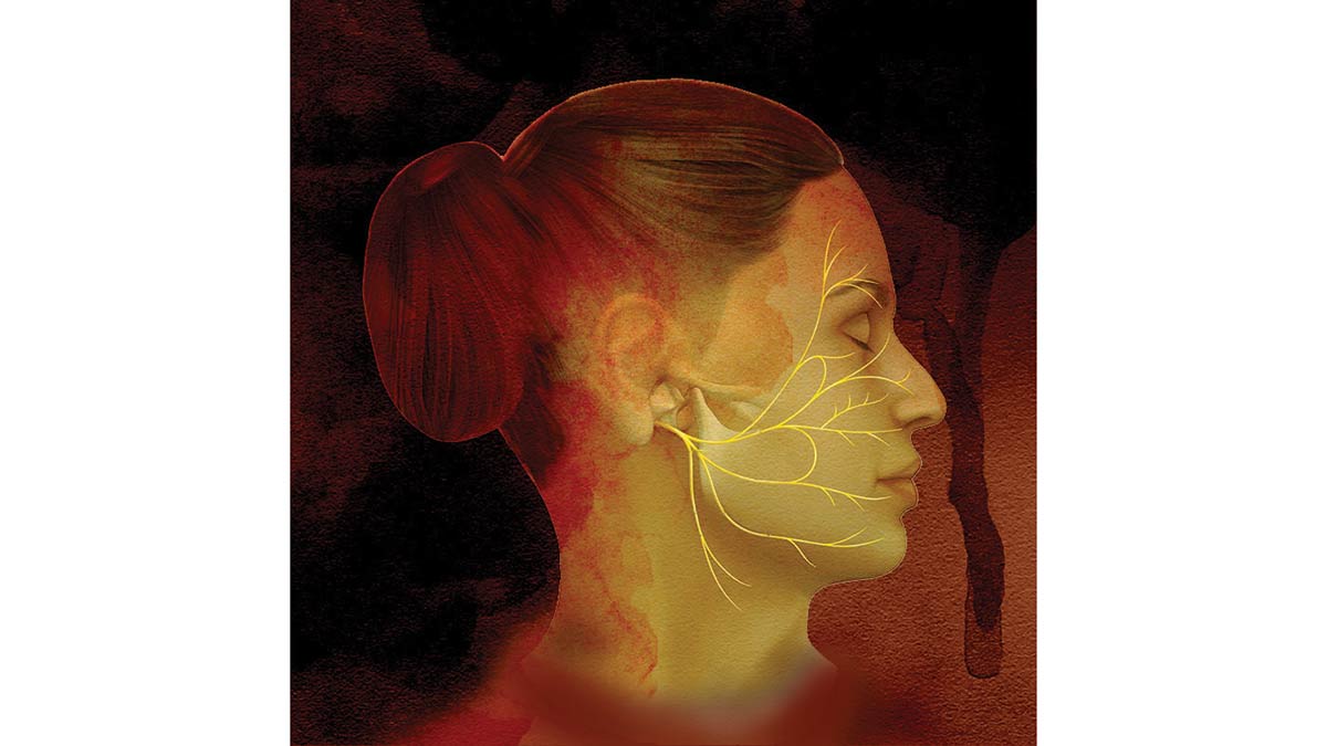 All about the seventh facial nerve- The Week