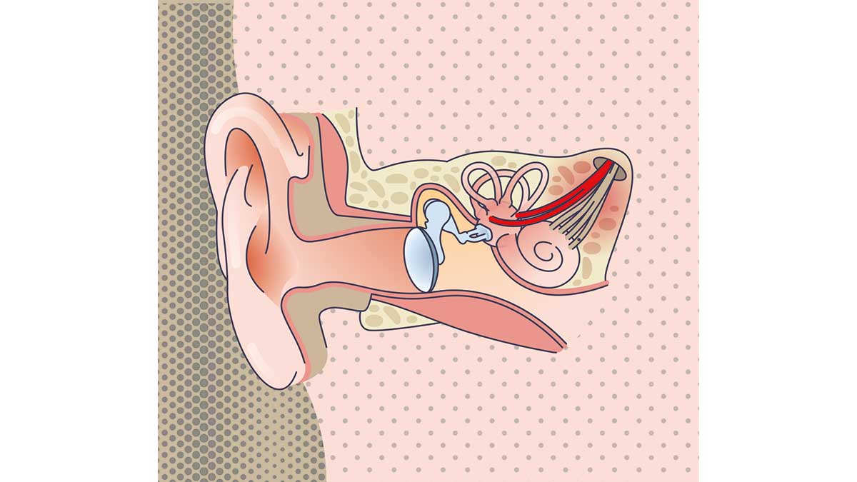 All you need to know about the eight nerve- The Week