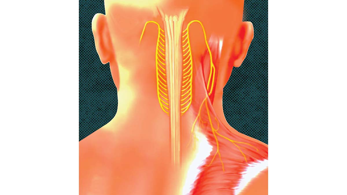 The story of the 11th cranial nerve- The Week