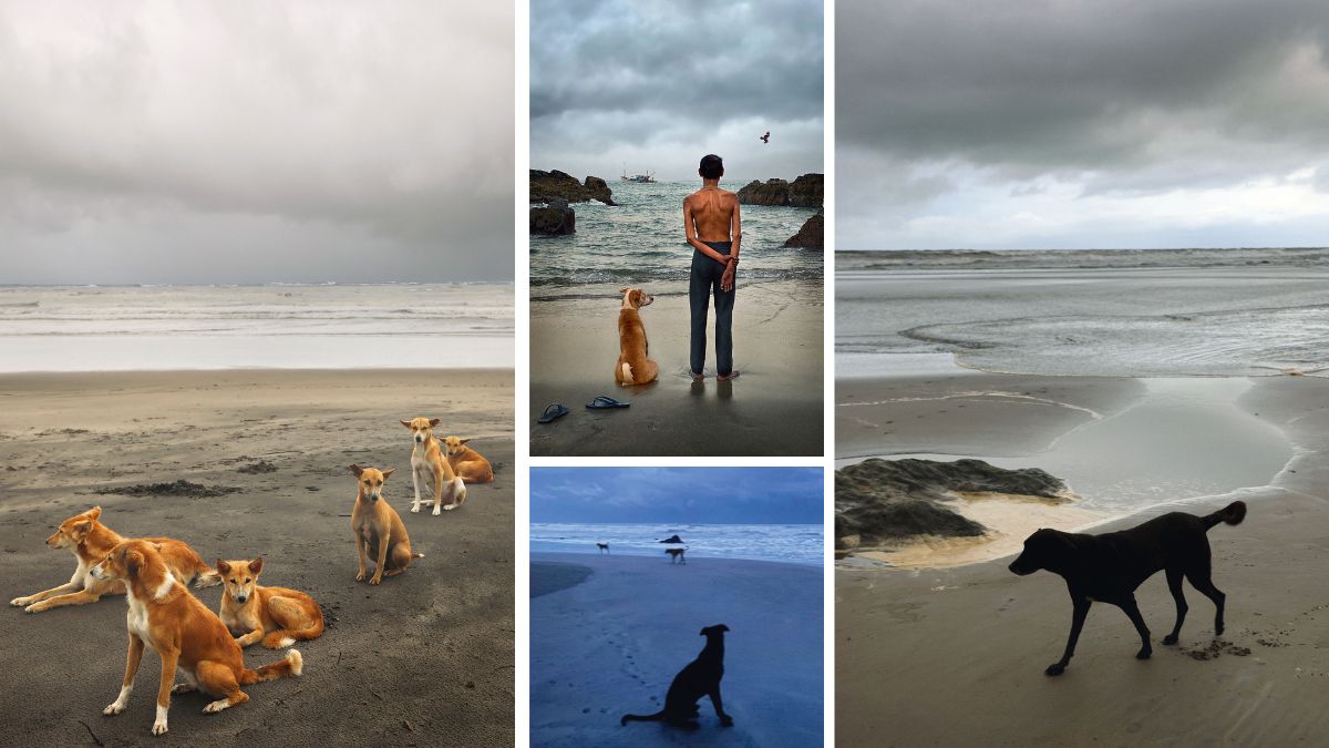 Rohit Chawla’s photo-book ‘Rain Dogs’ frames the pathos and pain of ...