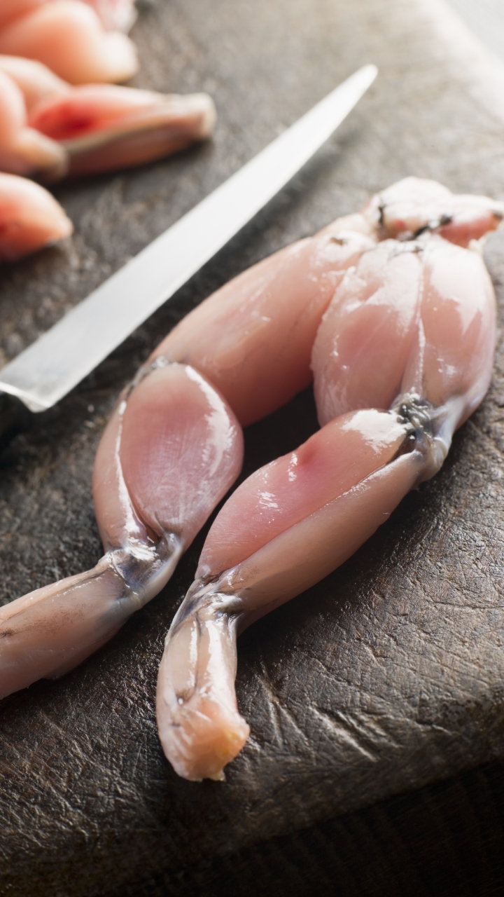 frog meat name