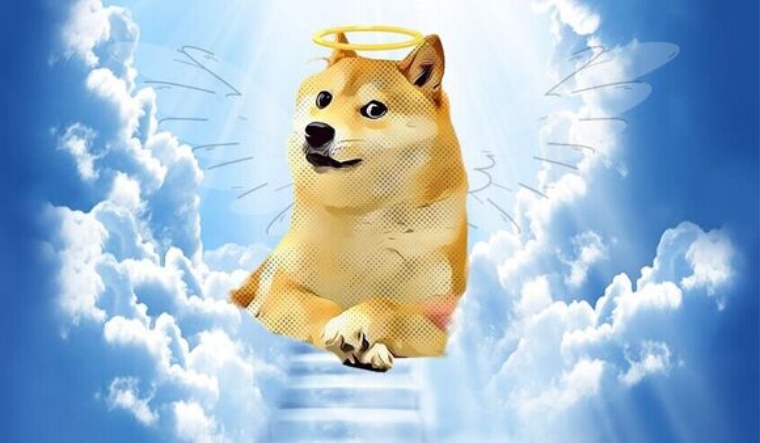 Doge meme's Kabosu: The viral Shiba Inu dog that became Twitter logo ...